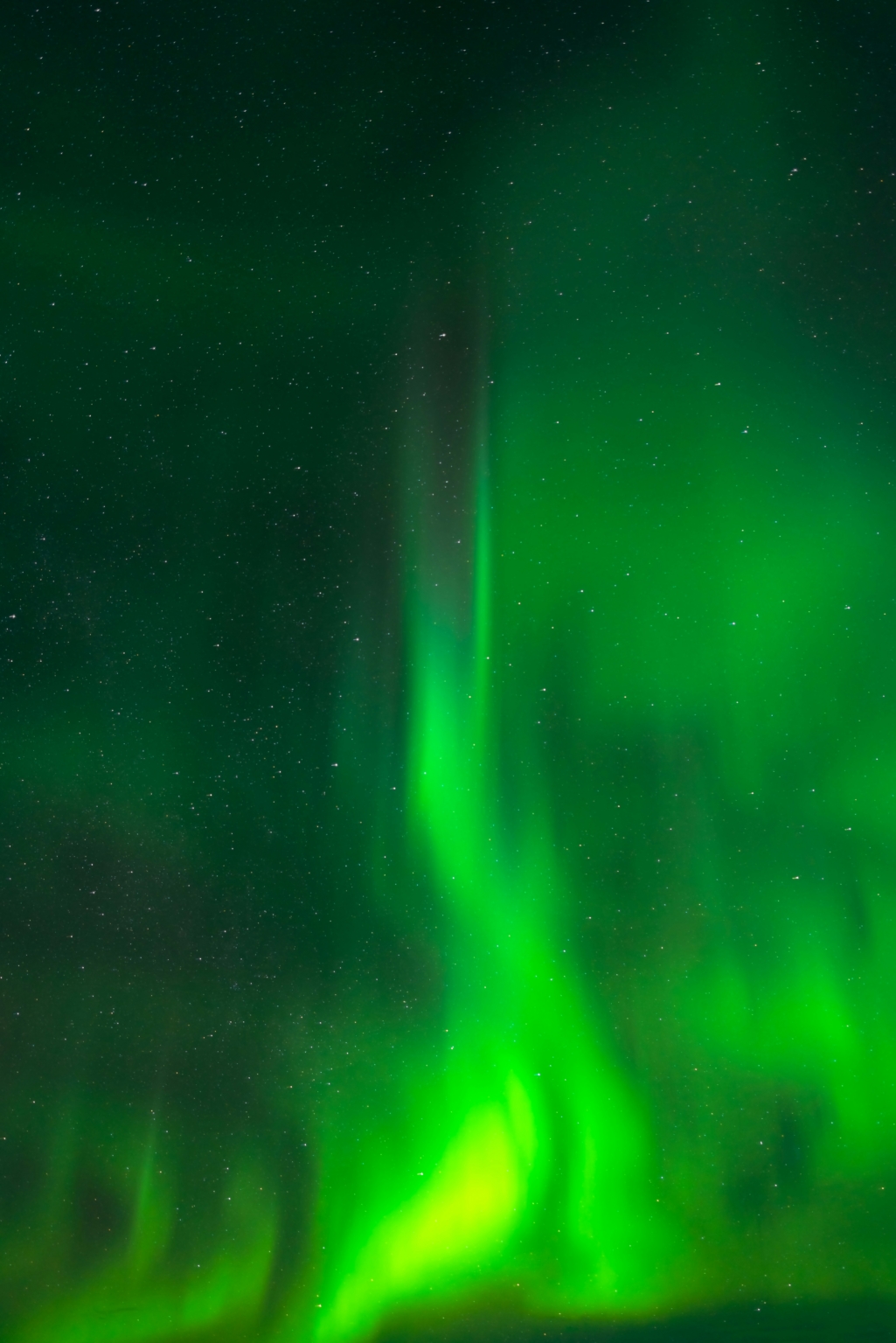 Weber Laser Therapy | Roots Integrative Medicine